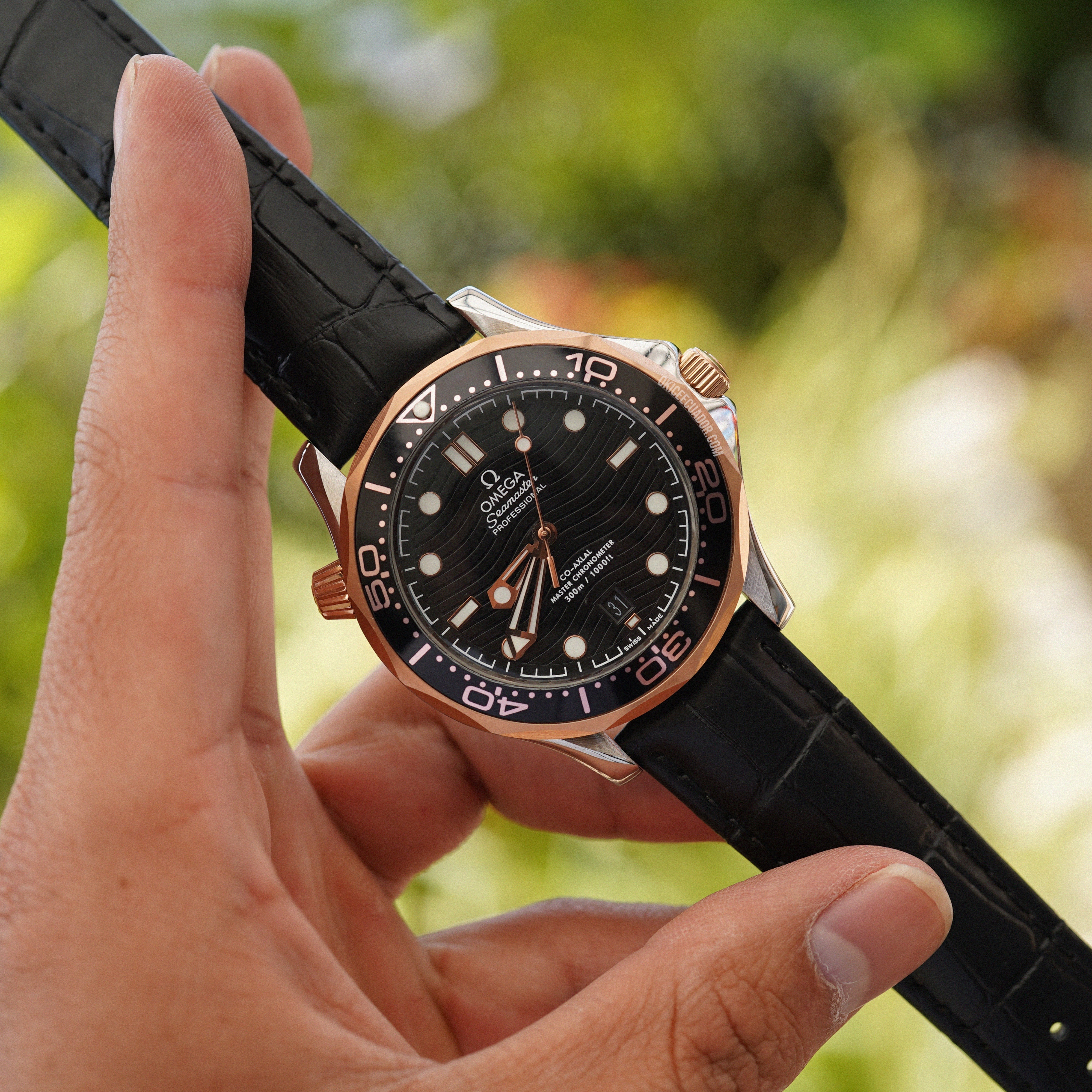OMEGA – OK ICE